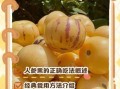 人参果怎么吃图解_人参果的正确吃法