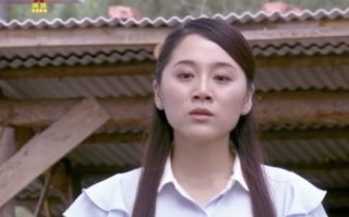 豆腐西施杨七巧电视剧全集在线观看_哪里能免费看高清
