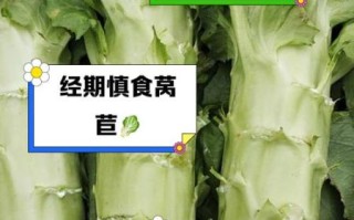 莴苣的功效与作用禁忌_哪些人不能吃莴苣