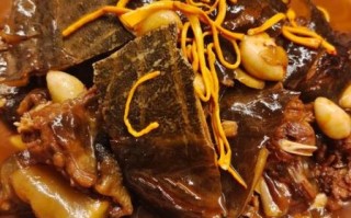 红烧甲鱼怎么烧好吃_红烧甲鱼最正宗的做法