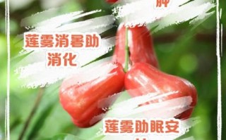 释迦莲雾怎么保存_释迦莲雾能一起吃吗