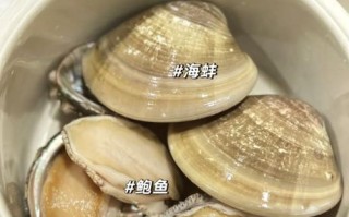 河蚌怎么吃最鲜美_河蚌的营养价值有哪些