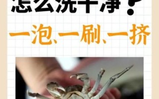 河蟹怎么洗才能洗干净_河蟹清洗的正确方法