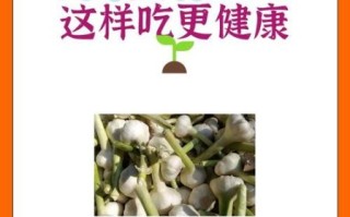 大蒜发芽了怎么保存_大蒜发芽还能吃吗