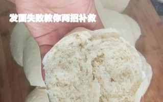 面发不起来怎么补救_发面失败还能救吗