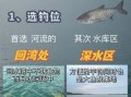 水深6一7米钓鲢鳙应该钓多深_最佳钓层怎么找