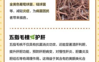 五指毛桃能治妇科炎症吗_怎么用才有效