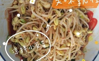 凉拌豆芽菜怎么焯水才脆_凉拌豆芽菜要不要过冷水