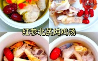 鸡汤炖菜的做法大全_如何炖出奶白浓汤