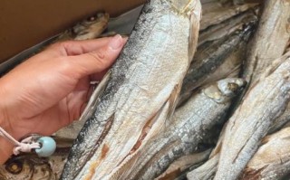 晒干鱼怎么保存_晒干鱼的做法大全