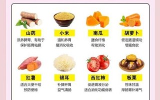 营养粥食谱100种做法大全_怎么搭配更养胃