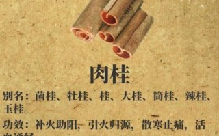 肉桂的功效与作用及禁忌_肉桂怎么吃不上火