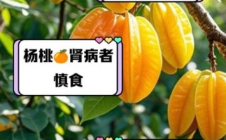 哪些水果最伤肾_肾不好能吃杨桃吗