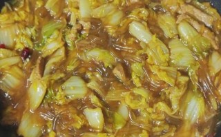 粉条炖菜怎么做_家常粉条炖菜的做法大全