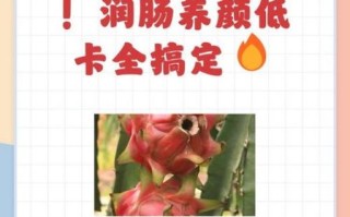 火龙果花青素_火龙果花青素的功效与作用