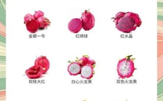吃火龙果会发胖吗_火龙果热量高吗