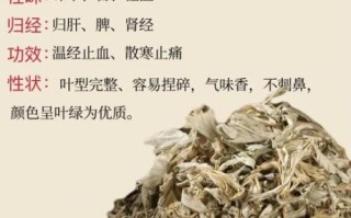 干艾草的功效与作用_干艾草怎么用效果最好