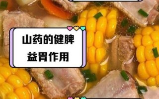 胡萝卜排骨汤的功效与作用_孕妇能喝吗