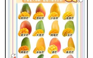 一天吃芒果最多能吃多少个_芒果吃多了会怎样