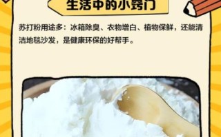 食用苏打粉能做什么_食用苏打粉怎么使用