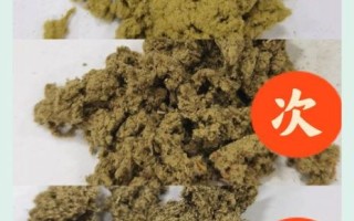 正宗艾草长什么样_如何辨别真假艾草