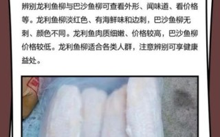 龙利鱼柳怎么做_龙利鱼柳的家常做法