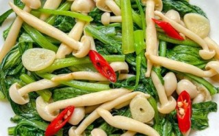 素炒白玉菇怎么炒好吃_白玉菇焯水几分钟