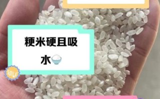 粳米和籼米哪个好吃_粳米与籼米口感区别