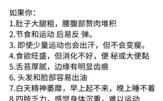 人胖湿气重肚子大怎么减肥_湿气重肚子大怎么调理