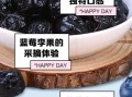 蓝莓李果是什么水果_蓝莓李果和蓝莓的区别