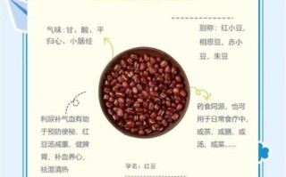 红豆能减肥吗_红豆减肥的正确吃法
