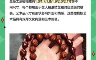 橄榄核雕生命之源是什么_如何鉴别真假