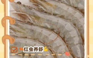 小河虾吃什么_小河虾食物清单
