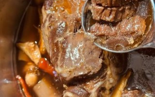 冻牛肉怎么炖好吃又烂_炖牛肉不柴的秘诀