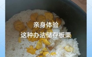 大量板栗怎么储存_新鲜板栗如何长期保鲜