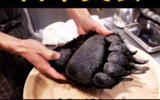 熊掌真的好吃吗_熊掌口感怎么样
