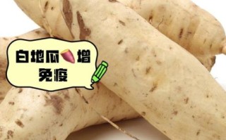 白地瓜怎么炒好吃_白地瓜的家常做法大全