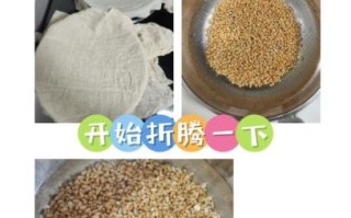 麦芽糖可以做什么吃的_麦芽糖家常做法大全