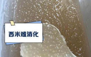 西米吃多了有什么危害_西米糖尿病人能吃吗