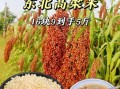 高粱米多少钱一斤_高粱米价格行情