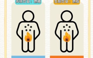 生酮饮食是什么_生酮减肥原理
