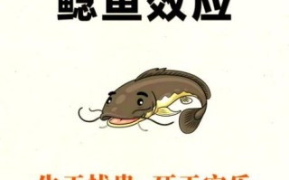 鲶鱼效应是什么意思_鲶鱼效应的由来