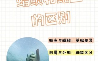 魔鬼鱼是蝠鲼吗_蝠鲼和鳐鱼区别