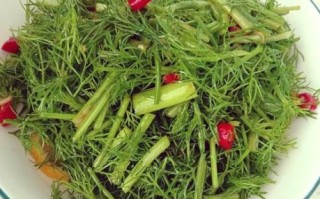 小茴香叶的功效与作用_小茴香叶怎么吃最好