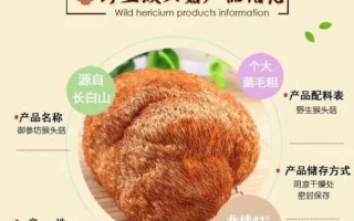 鲜的猴头菇怎么做好吃_猴头菇的家常做法