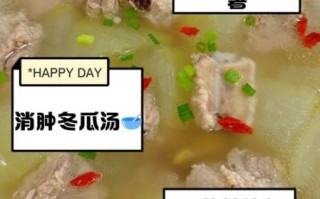 排骨炖冬瓜汤的做法_排骨炖冬瓜汤的功效