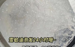 雪蛤干怎么吃_雪蛤干炖什么最好