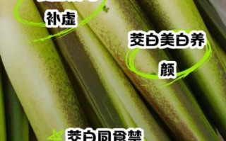 茭白的功效与作用_茭白禁忌人群