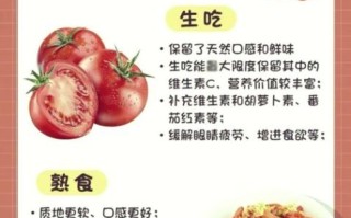 我吃西红柿新书2019叫什么_有哪些亮点