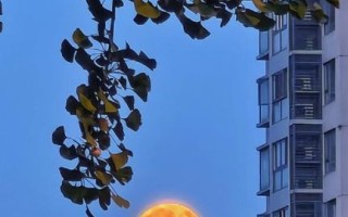 中秋最美月亮图片_如何拍摄